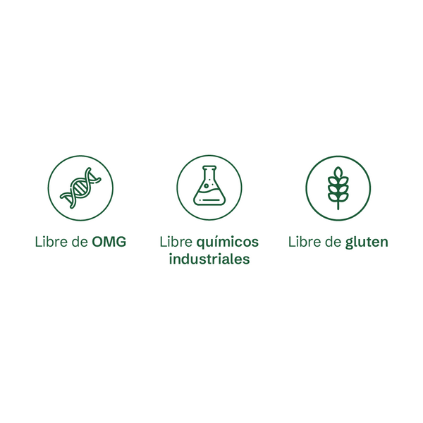 Neuroflujo de Flora – Flora 01